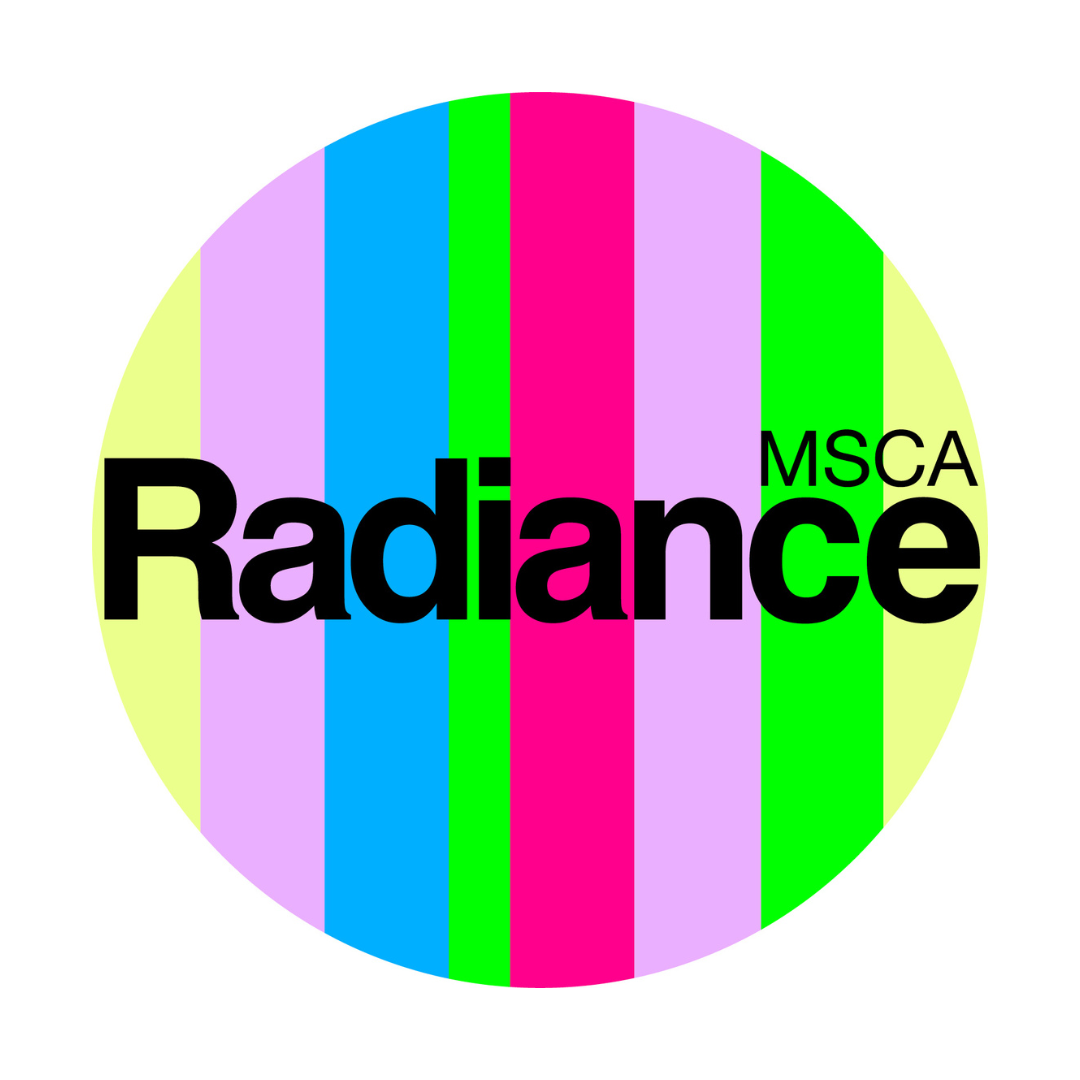 MSCA Doctoral Networks 2025 Handbook and Submission Guide published | Horizon Europe NI